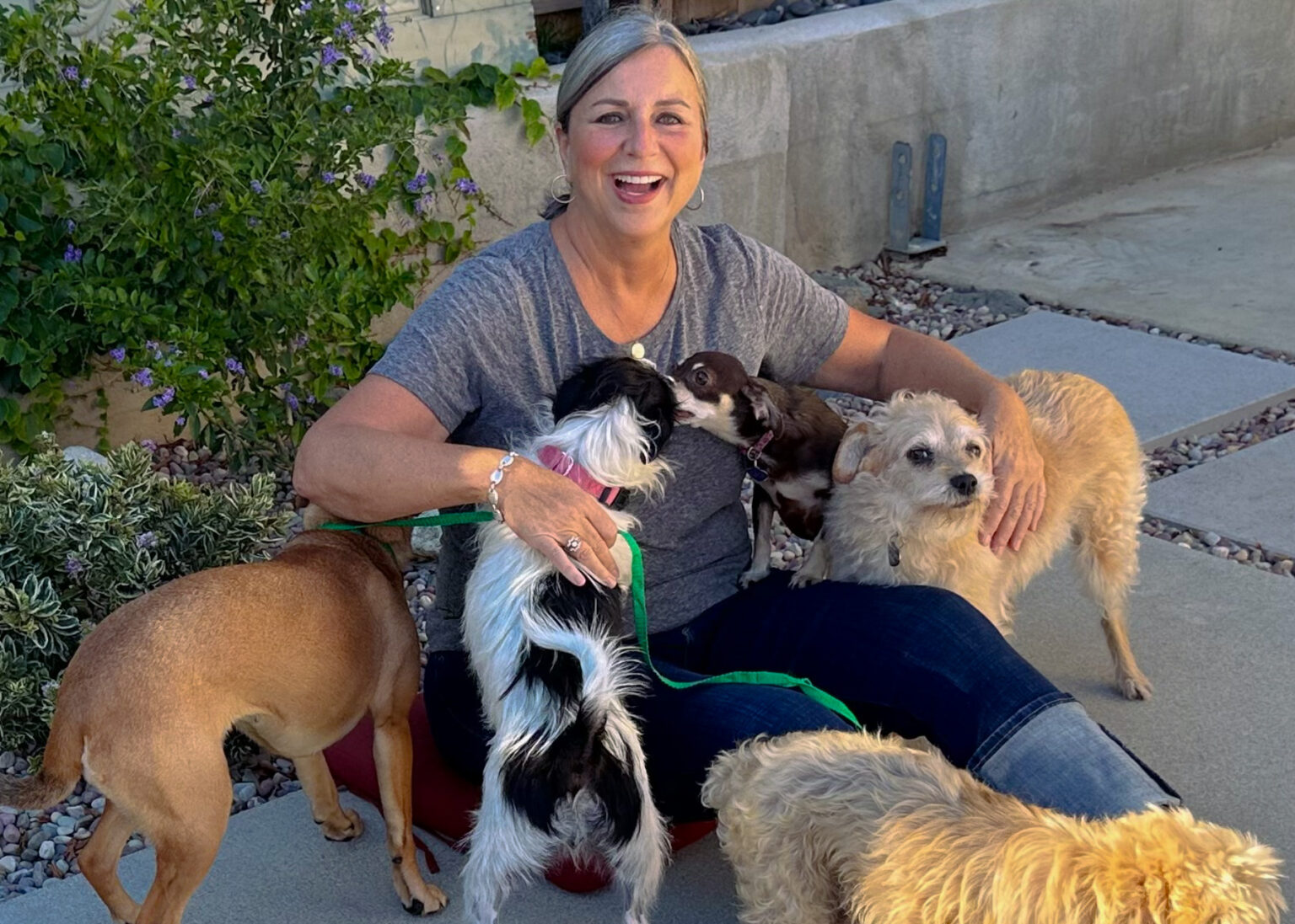 Stephanie Palmer: why fostering animals is absolutely paw-some – Baron News