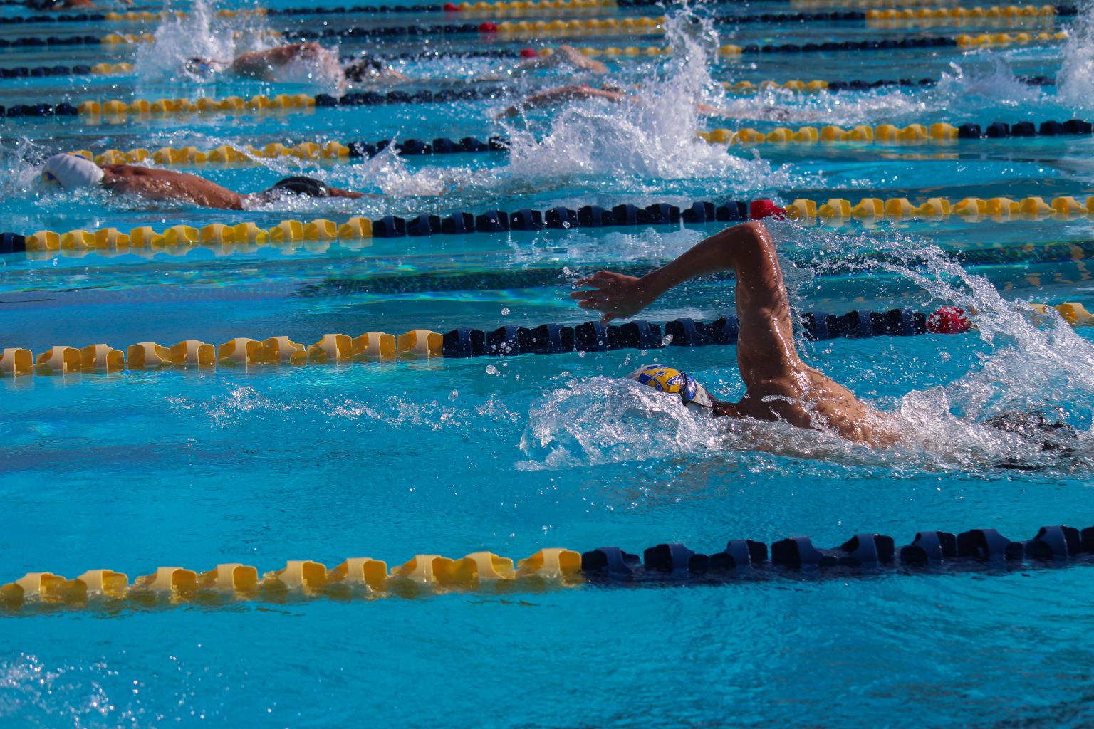 FVHS swim falls behind Edison Chargers in Wave League Finals – Baron News